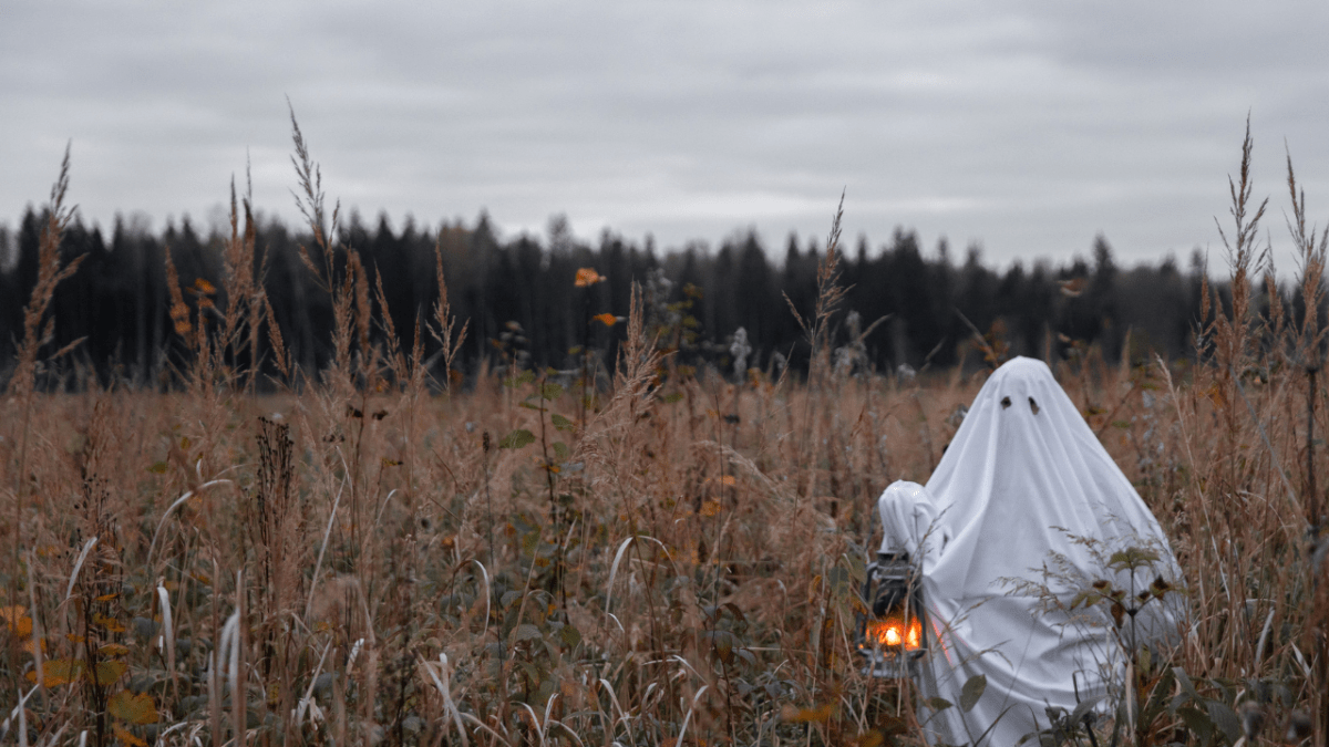 Graveyards, Killers, and Witches: October Reading Wrap-Up – Morren Aconite